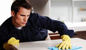 The Gentleman's Guide to Cleaning One's Home - Best Carpet Cleaner Guide